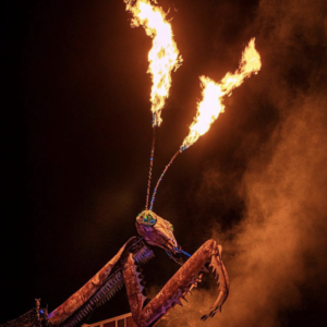 Entertainment - Downtown Container Park